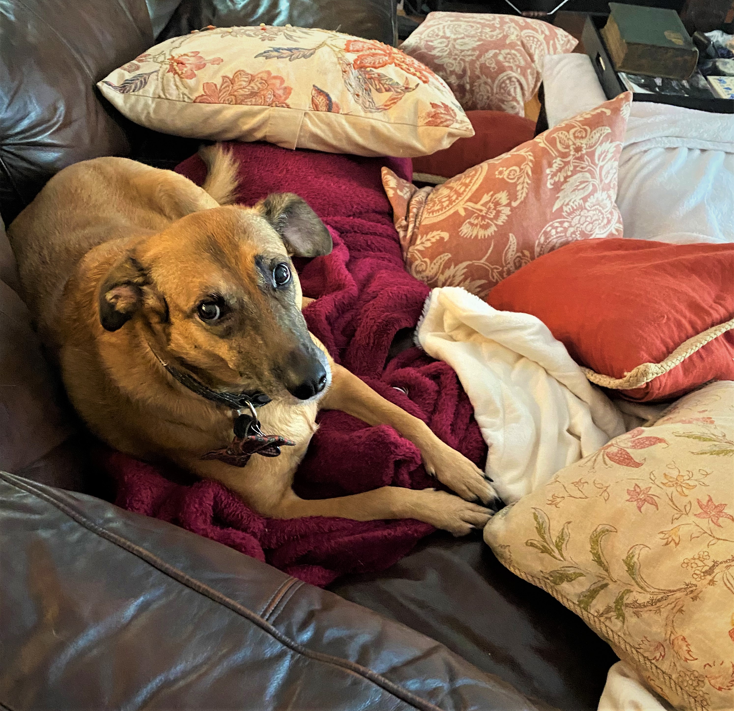 A face that’s not hard to read - Mike Pound Writes